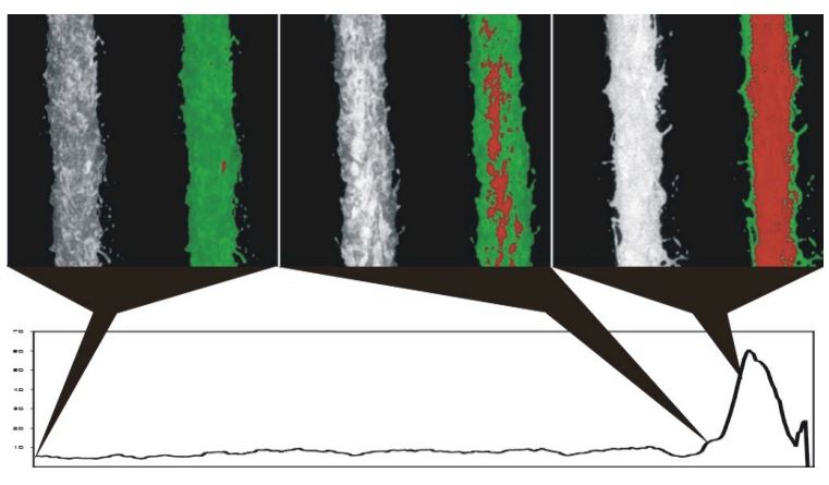Tecfor Metals - Slag View